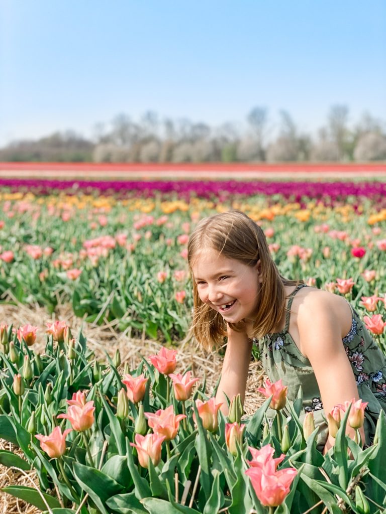 Where to Find Tulip Fields in Germany • Jessica Lynn Writes